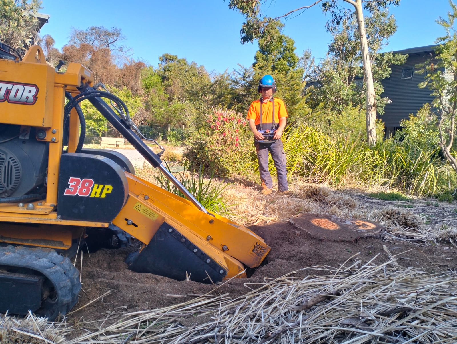 Palm Removal | Stump Removal Geelong